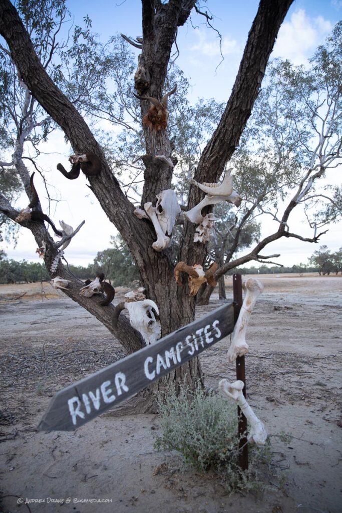 River Campsites