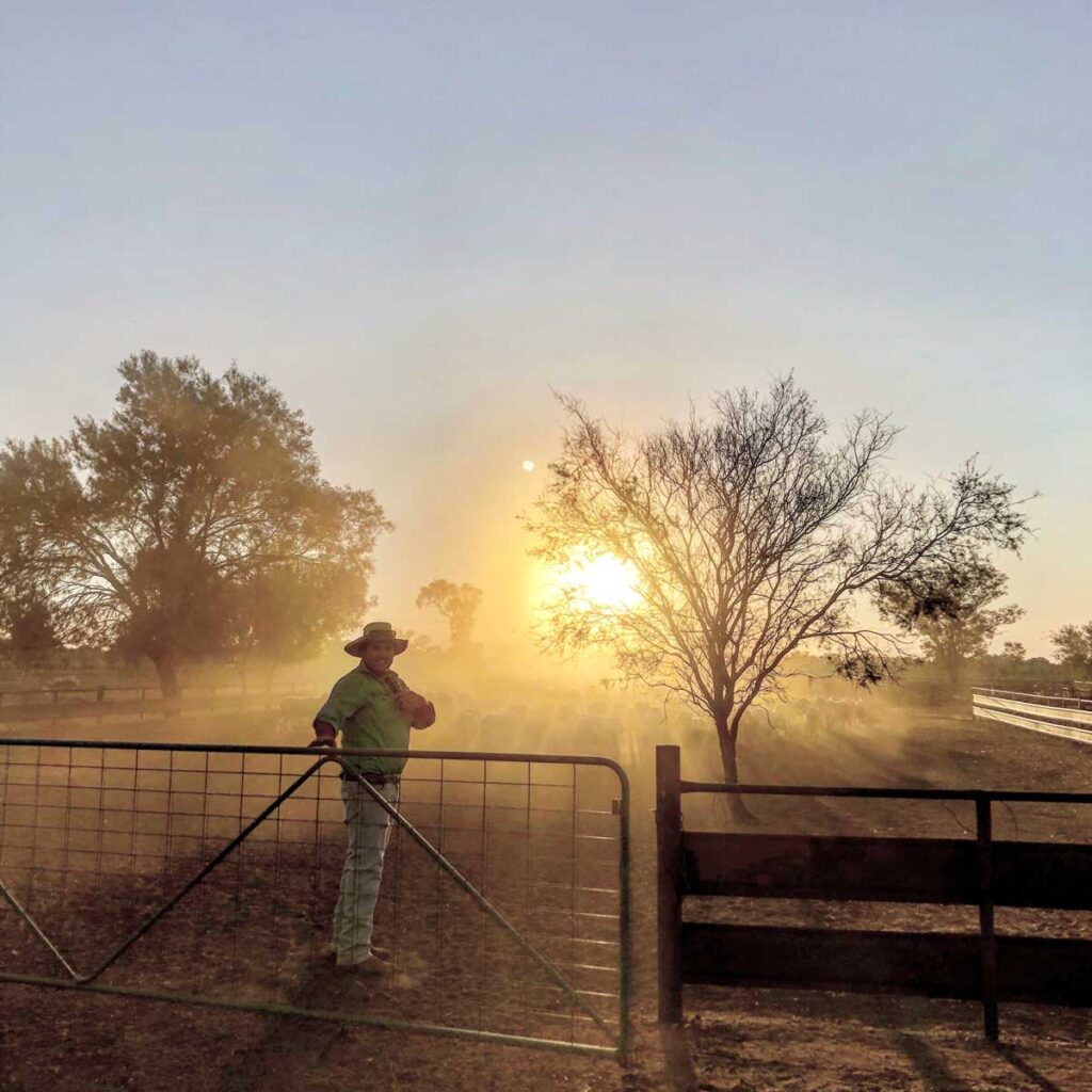 The Outback Experience